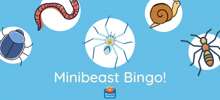 3Rs Activities at Home: Minibeast Bingo! - Zone