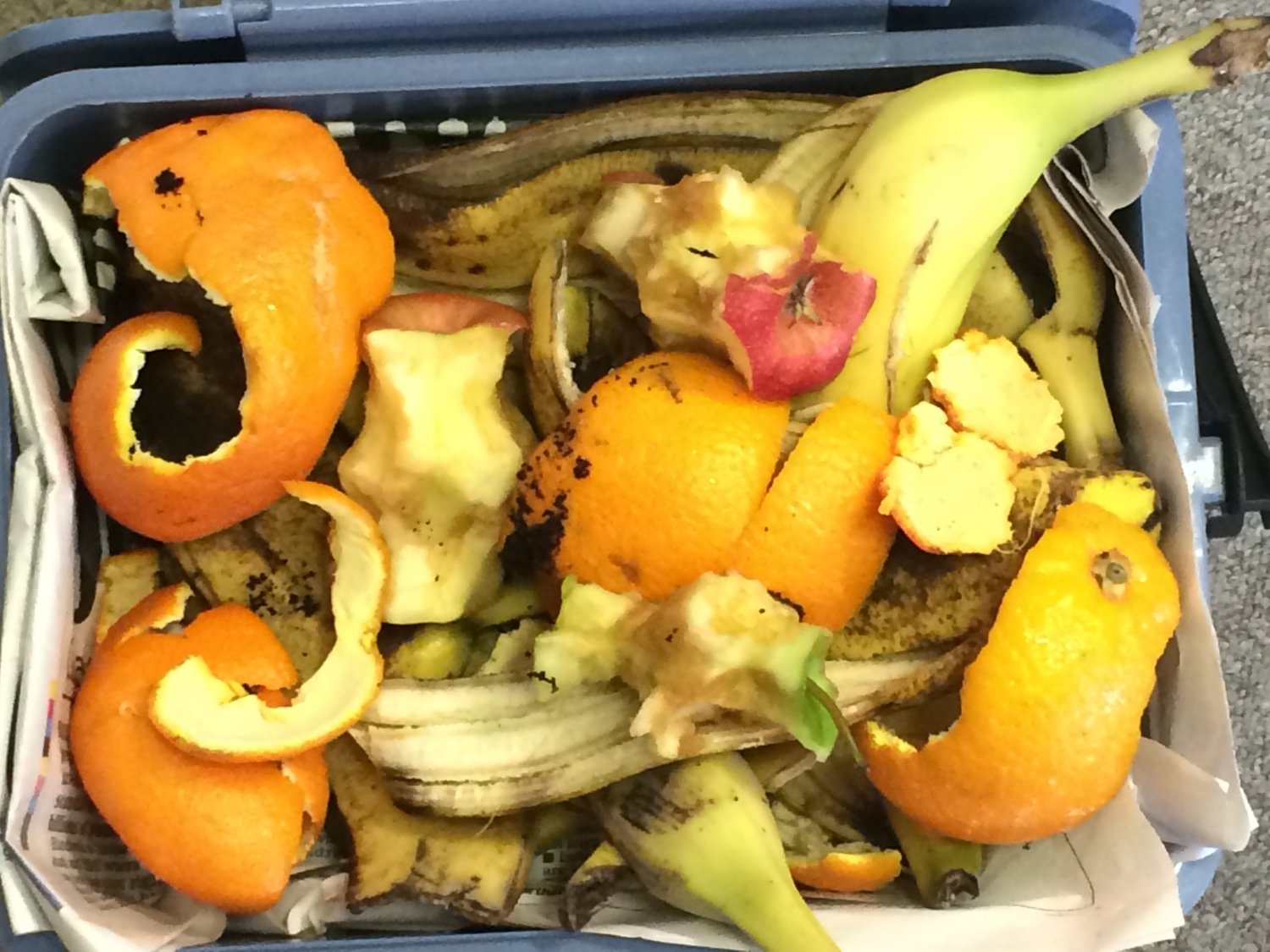 Zero Waste Lunches - Zone