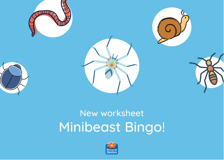 3Rs Activities at Home: Minibeast Bingo! - Zone
